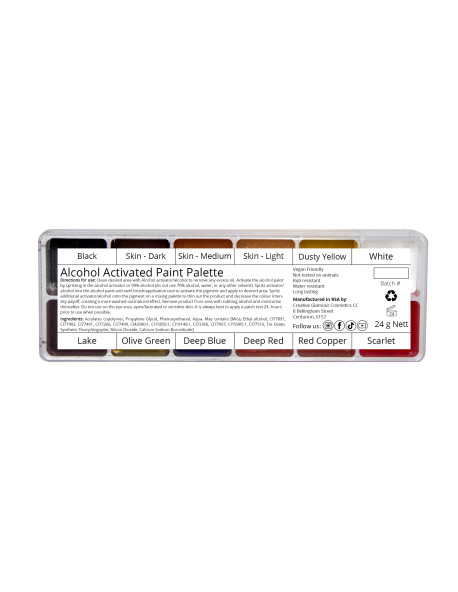 12 Shade Alcohol Activated Paint Palette